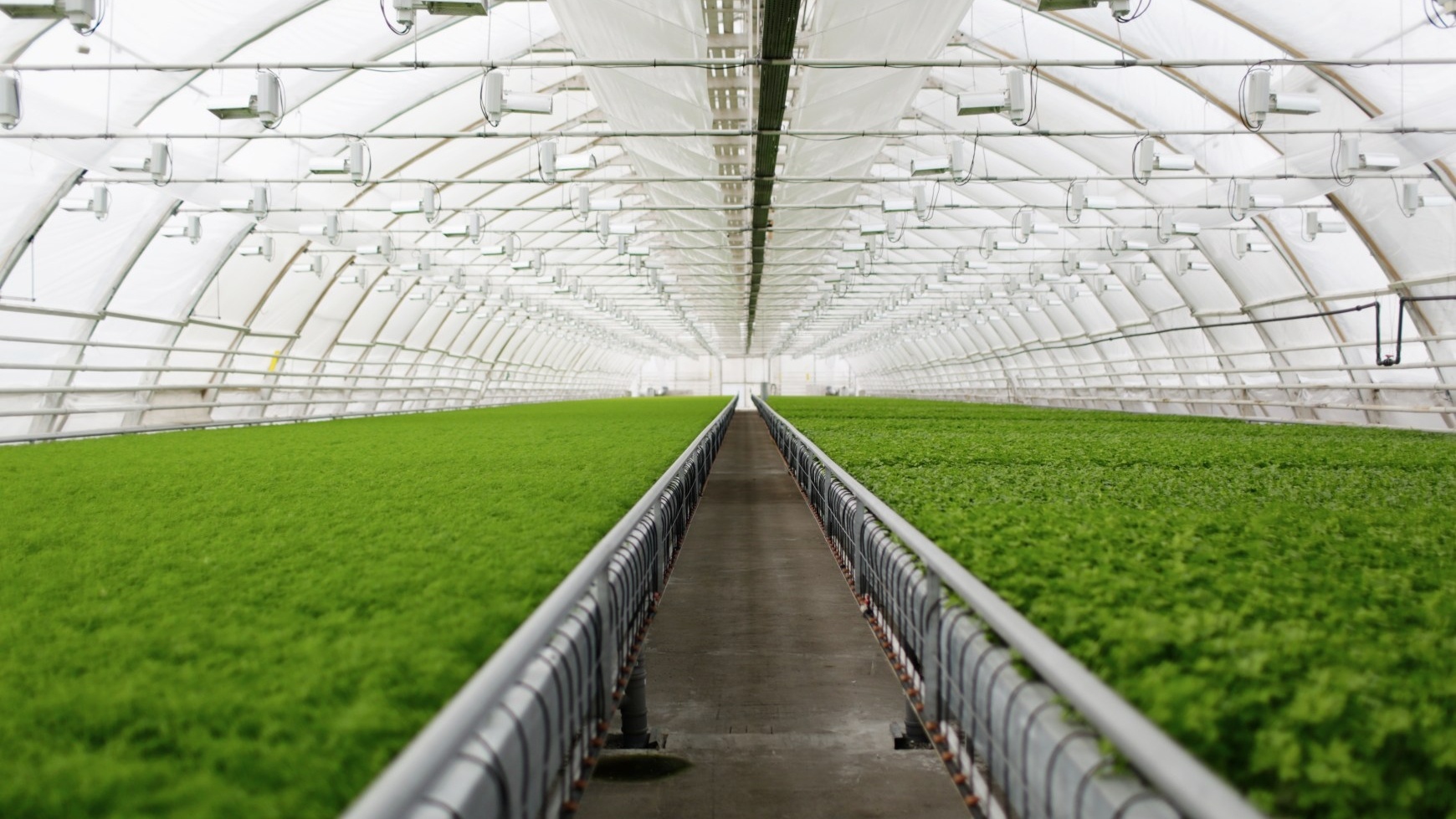 Accelerating the adoption of Demand Response in European markets